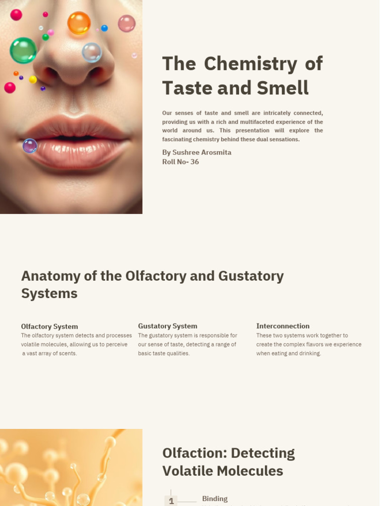 Sushree Arosmita Chemistry Project | PDF | Taste | Senses