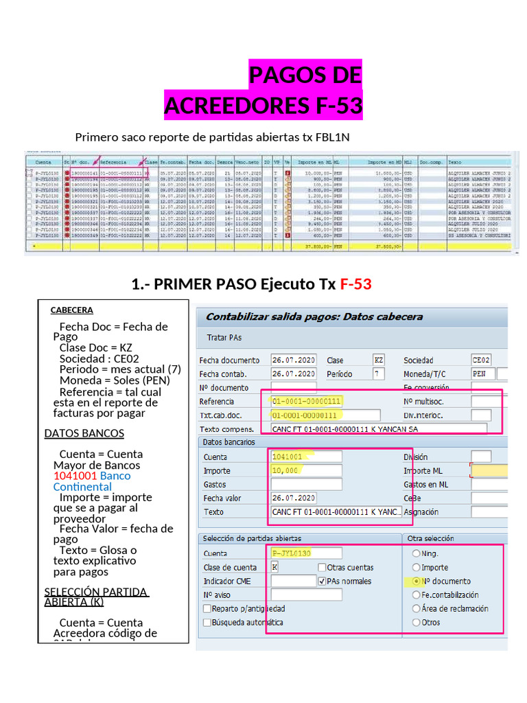 SAP - Registro F-53 | PDF
