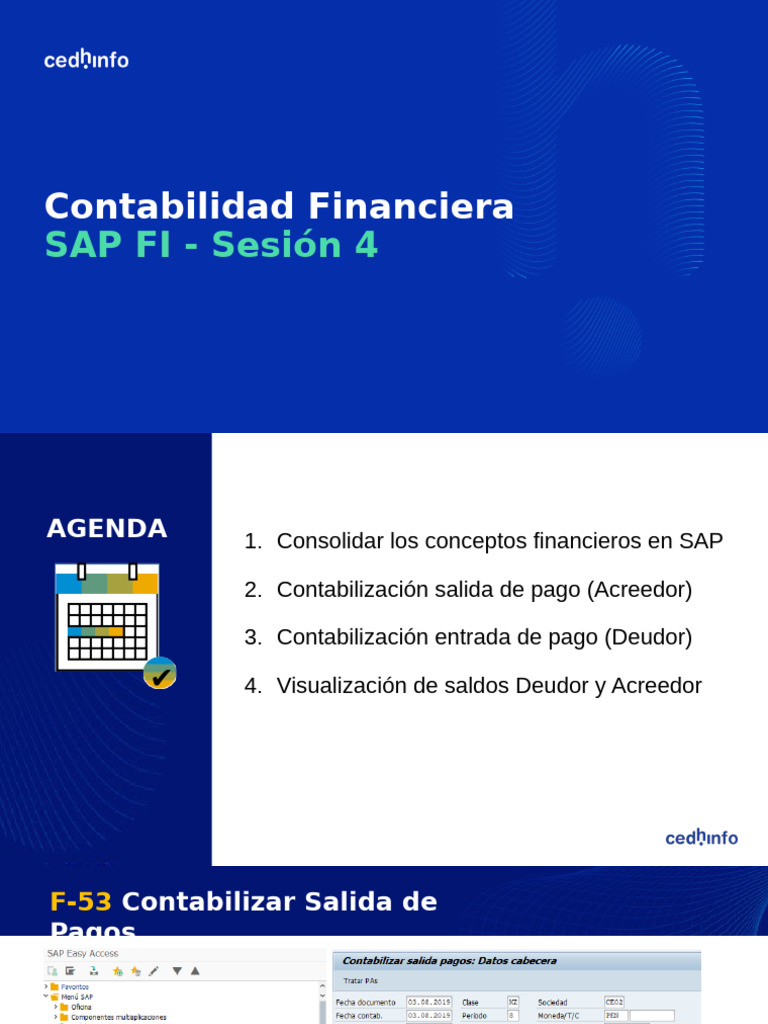SAP FI S4 - Contabilidad de Bancos | PDF | Servicios financieros ...