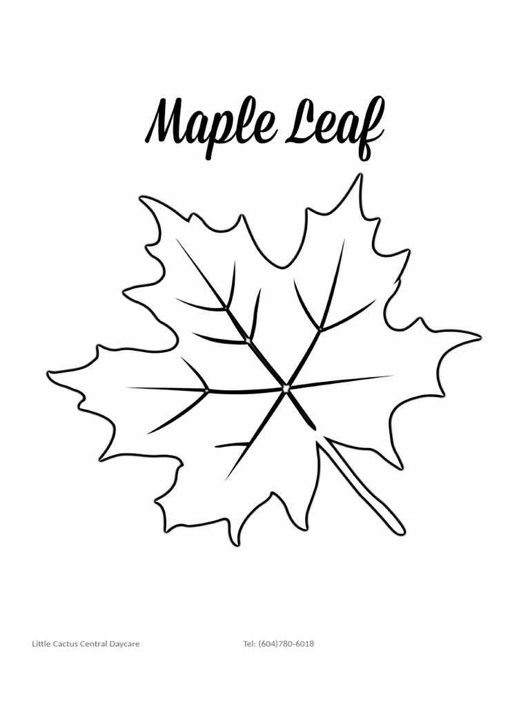 Maple Leaf | PDF