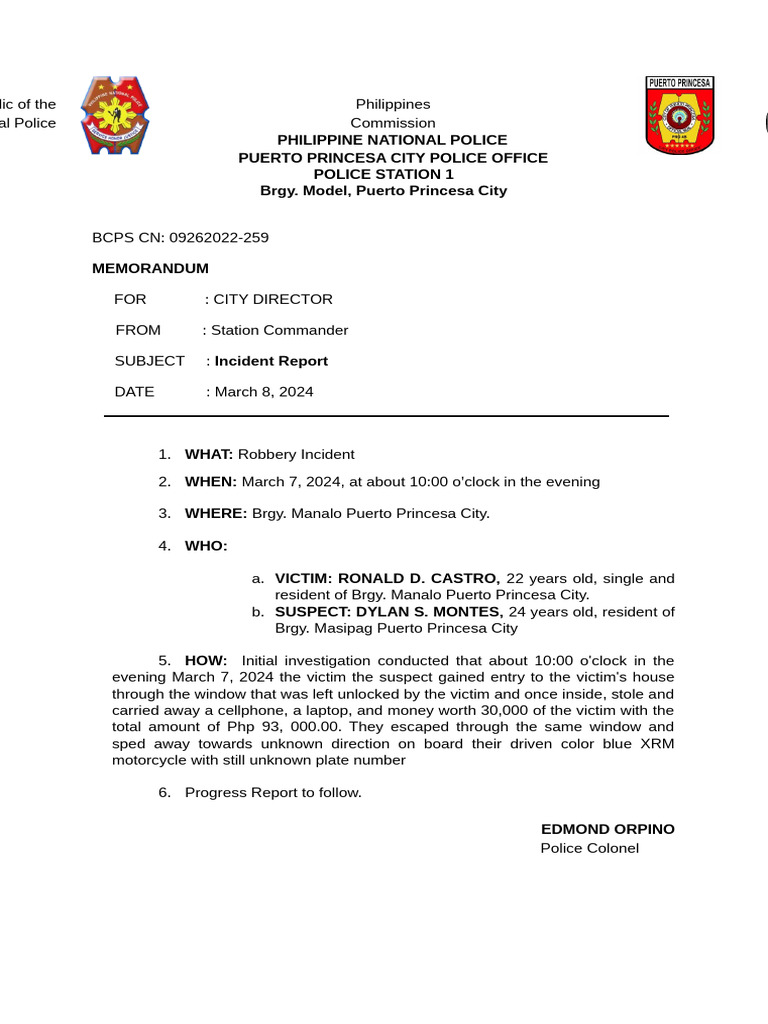 Puerto Princesa City Robbery Report | PDF | Mystery, Thriller & Crime ...