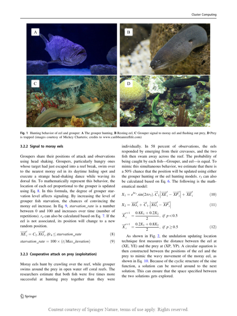 Original Article - EGO - Eel - and - Grouper - Optimizer - A - Nature ...