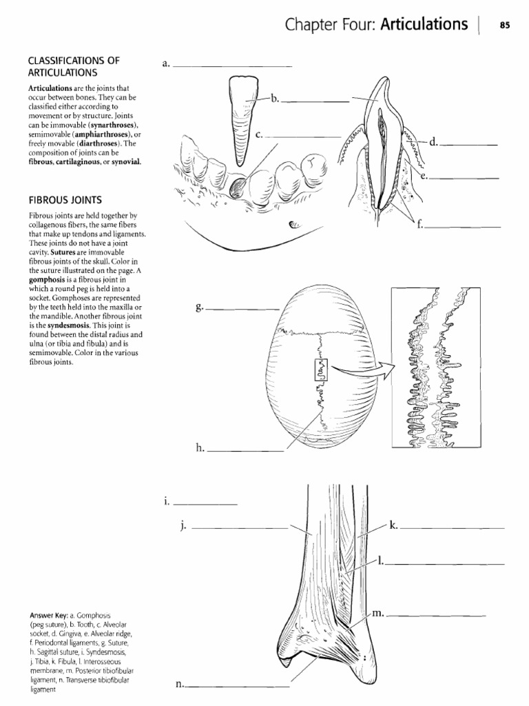 Kaplan Laboratory Manual-43-51 | PDF | Anatomical Terms Of Motion | Knee
