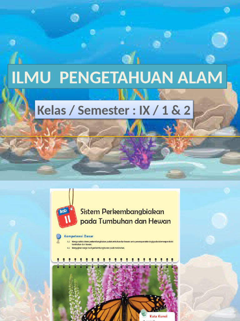 Bab 2 Sistem Perkembangbiakan Pada Tumbuhan Dan Hewan | PDF