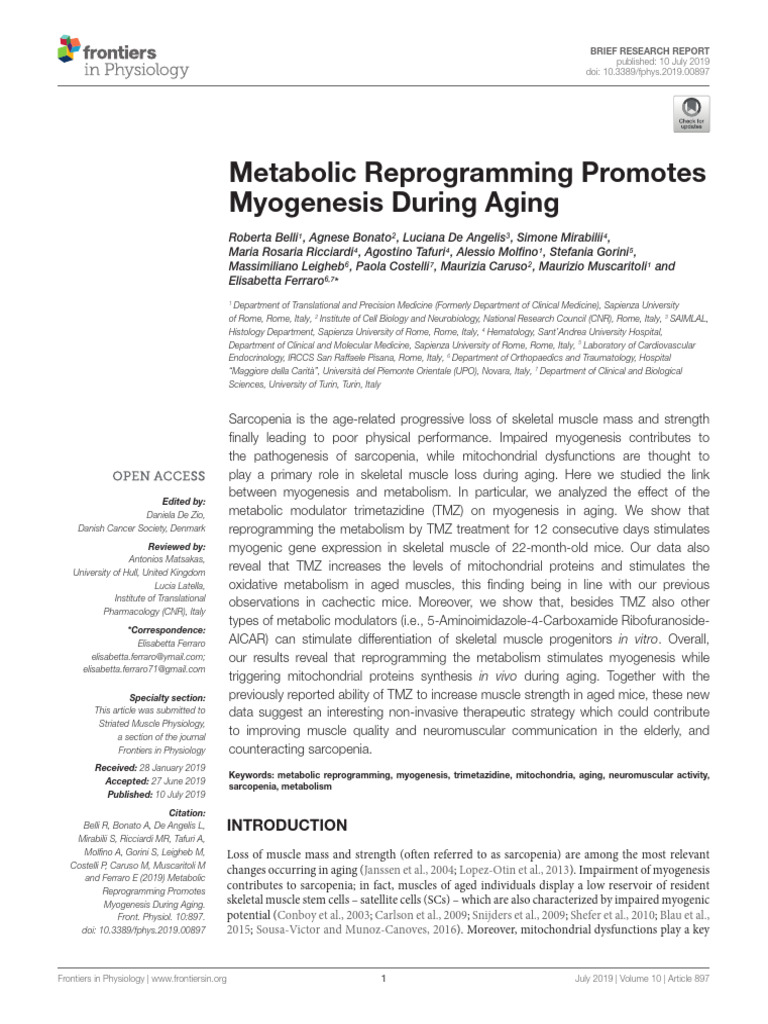 Metabolic Reprogramming Promotes Myogenesis During Aging | PDF ...