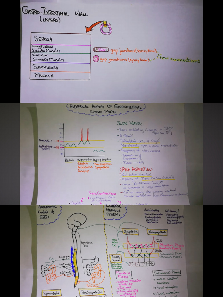 Med Gateway Guyton CH63 | PDF