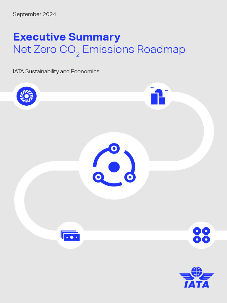 Executive Summary Net Zero Roadmaps | PDF | Climate Change Mitigation ...