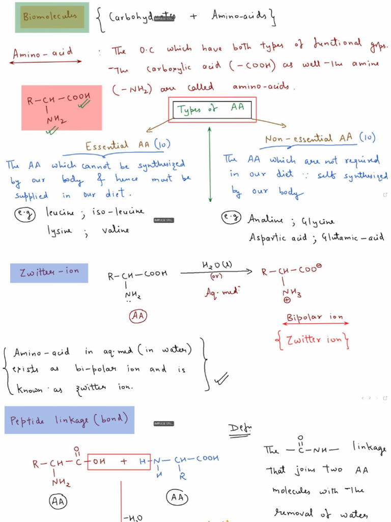 Biomolecules Class 12 | PDF
