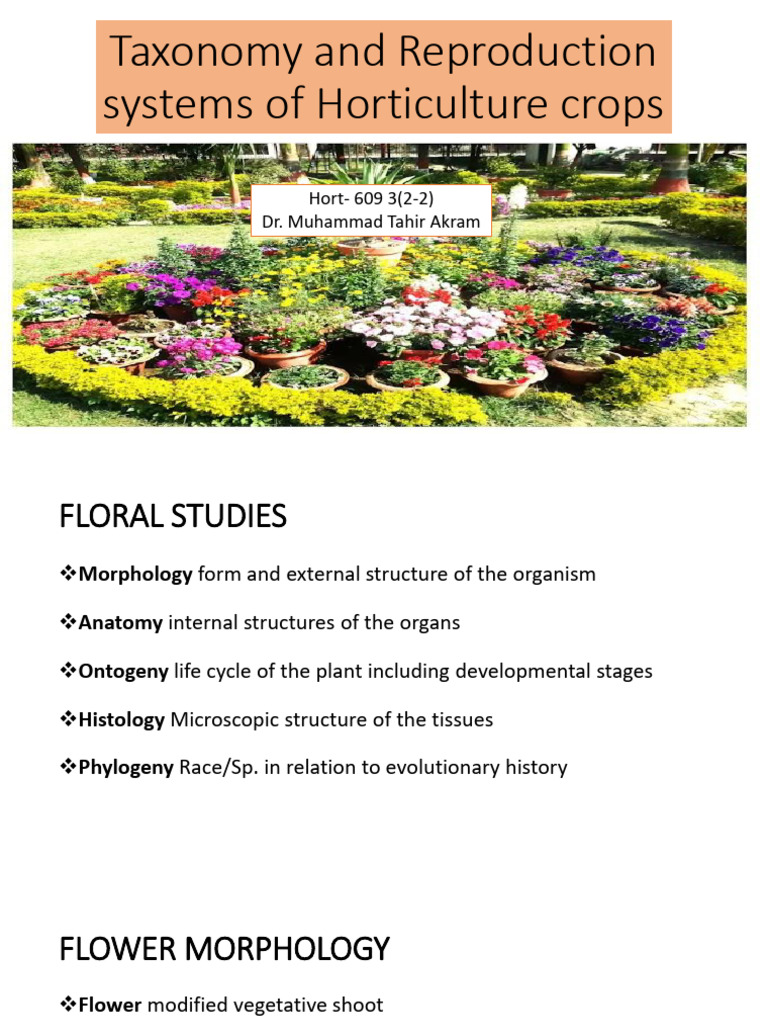 Floral Structure and Morphology | PDF | Flowers | Reproduction