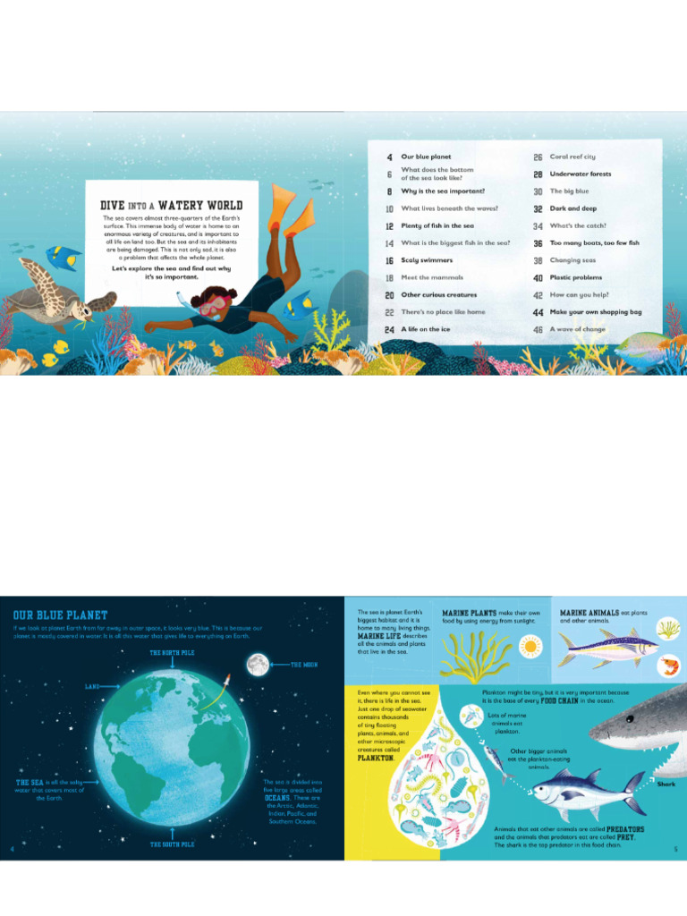 The Sea Book by Charlotte Milner Extract | PDF