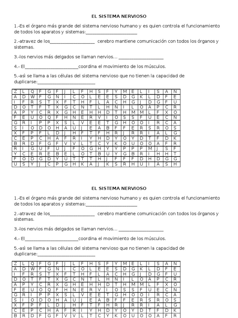Ciencias Naturales - El Sistema Nervioso (Sopa de Letras) | PDF