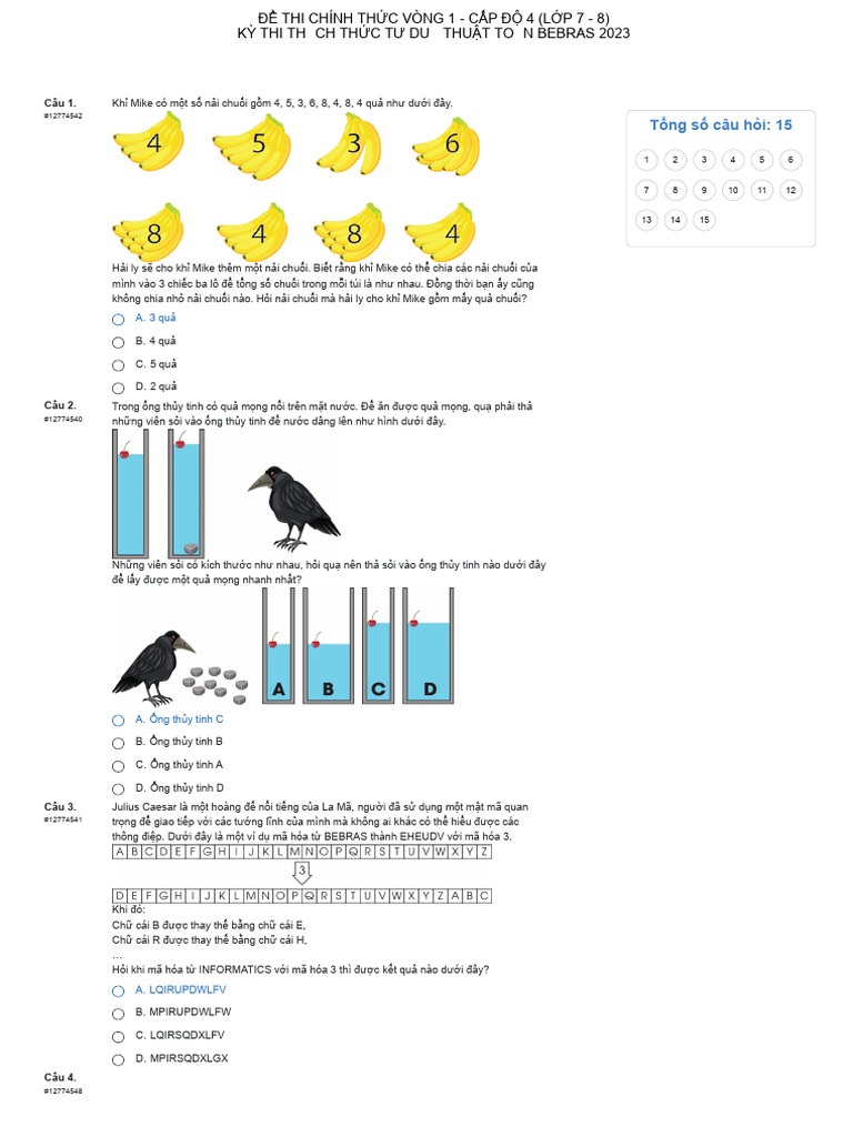 BB 2023 de Thi Vong 1 Cap Do 4 | PDF