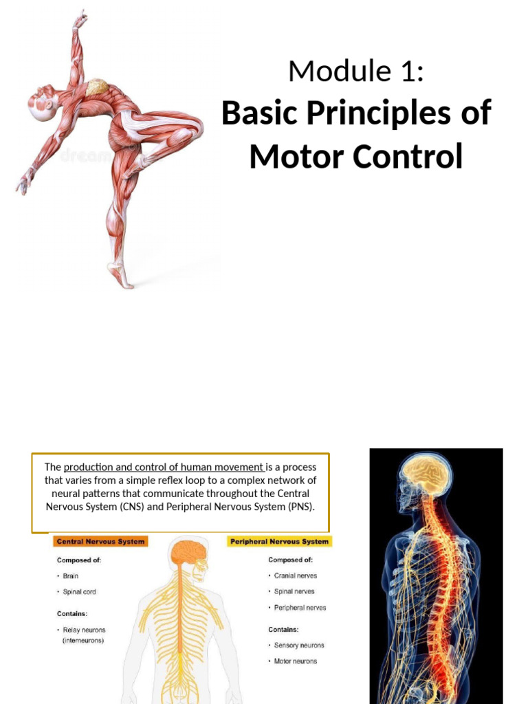 Mod. 1 Basic Principles and Theories of Motor Control | PDF