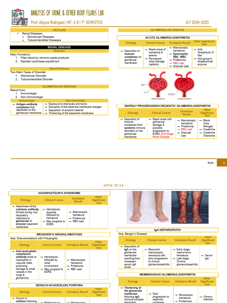 AUBF Lesson | PDF | Kidney | Urinary System