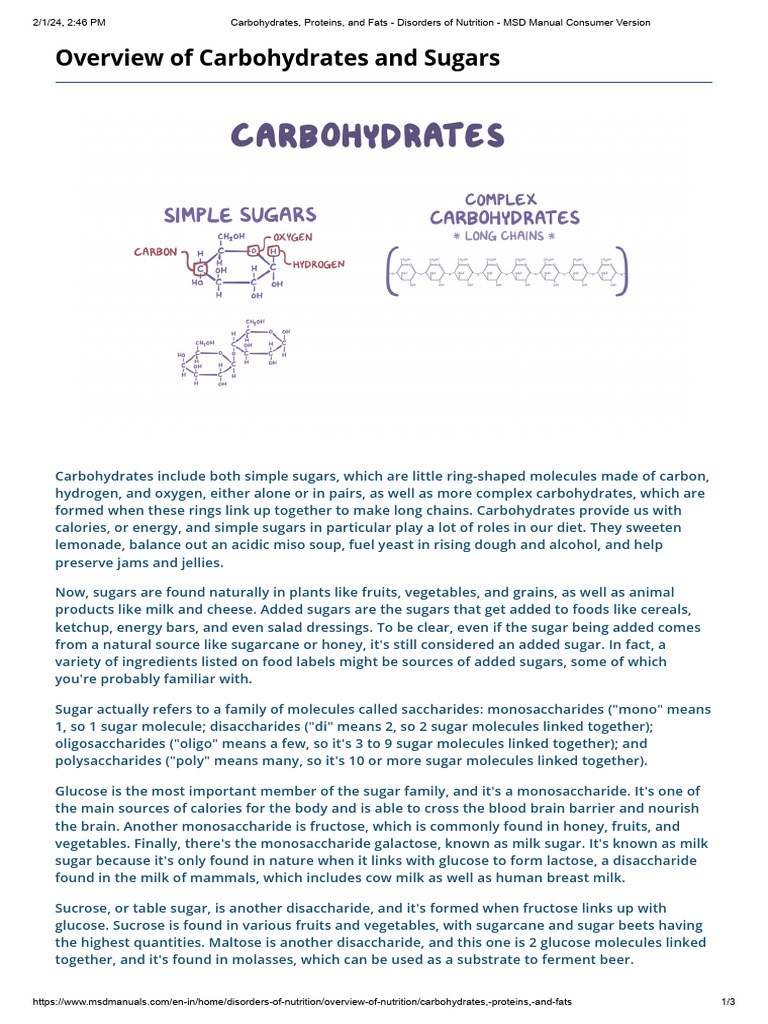 Carbohydrate | PDF | Carbohydrates | Glucose