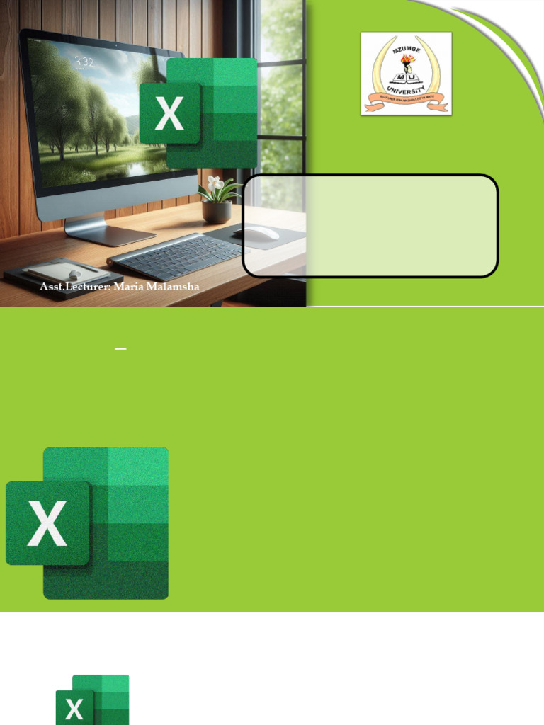 LAW 110 Lecture 3 Excel | PDF | Spreadsheet | Microsoft Excel