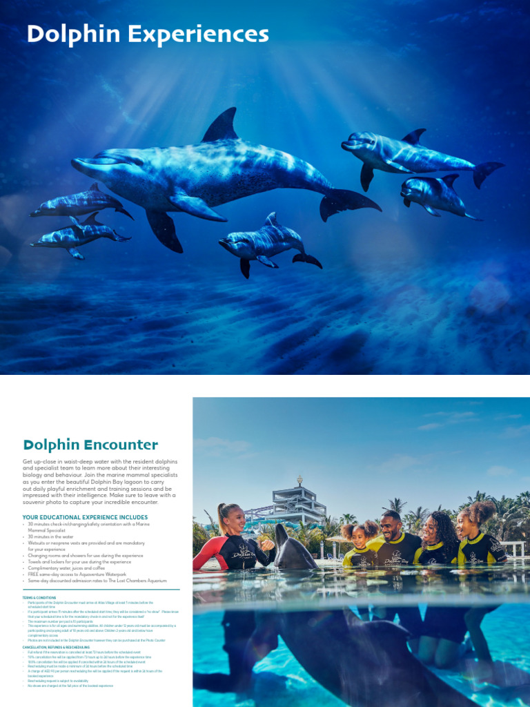 Dolphin Experiences Final | PDF | Aquarium | Fee