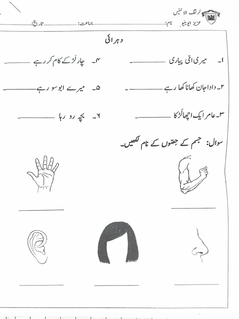 Worksheets | PDF