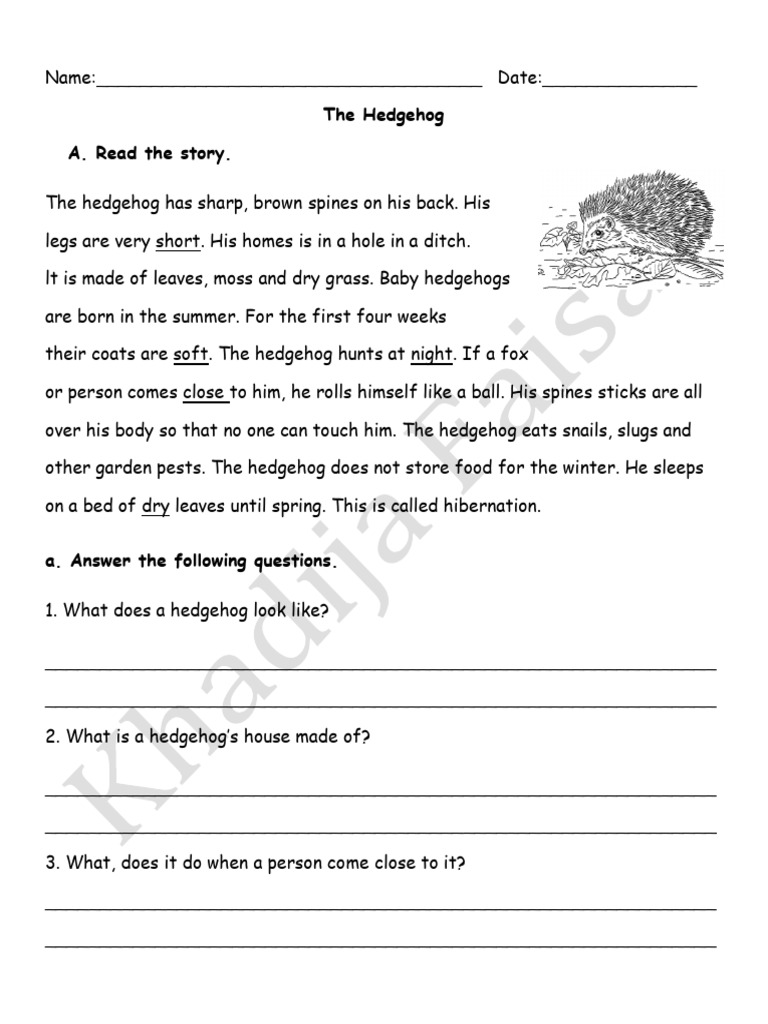 Hedgehog Comprehension | PDF | Language Arts & Discipline