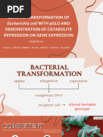 GV3101 Agrobacterium Transformation Guide | PDF | Biology | Life Sciences