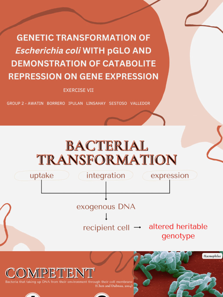 Genetic Transformation | PDF | Transformation (Genetics) | Biochemistry