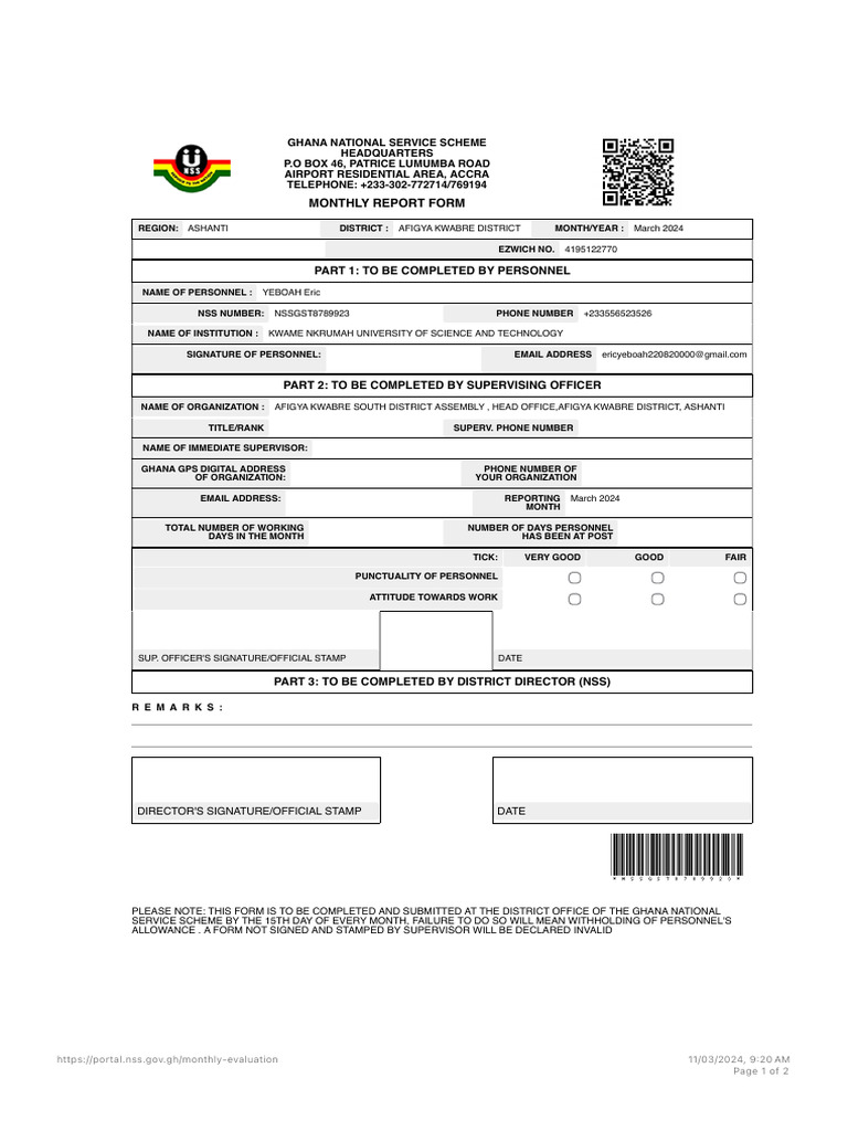 NSS Monthly Report Submission | PDF