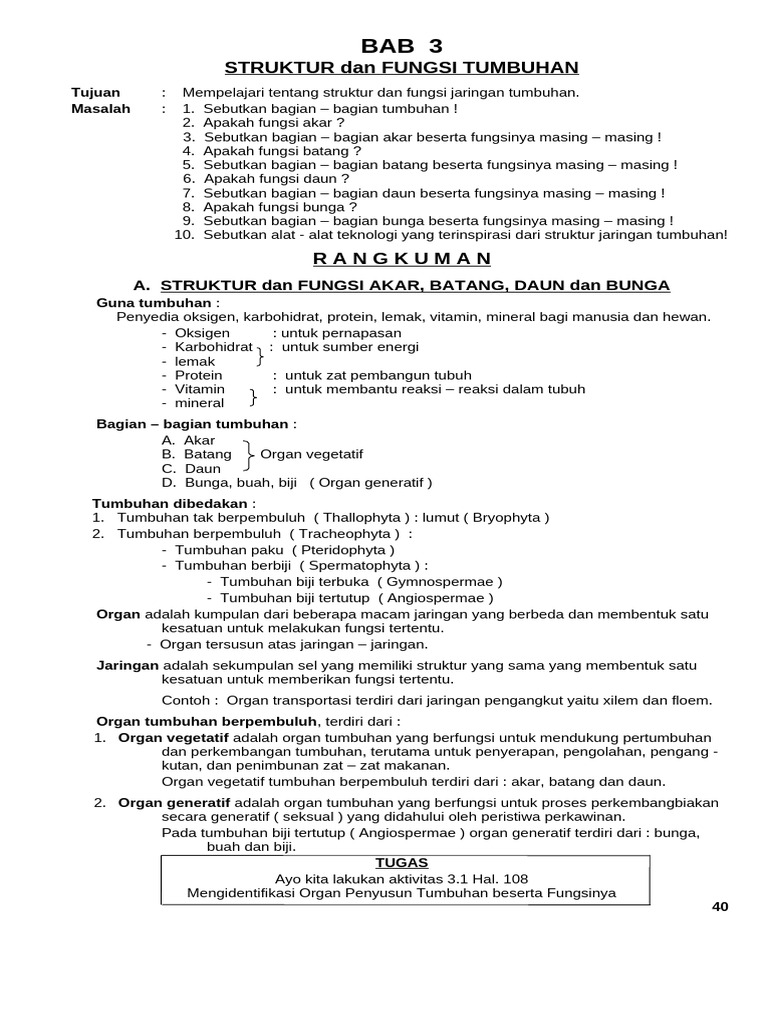 Bab. 3 Struktur Dan Fungsi Tumbuhan - (KBM) - 1 | PDF