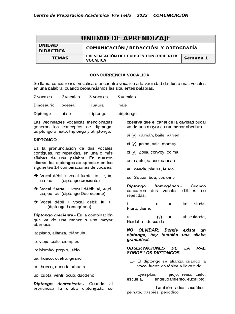 Lenguaje Silaba Final Pdf Coma Voz Humana