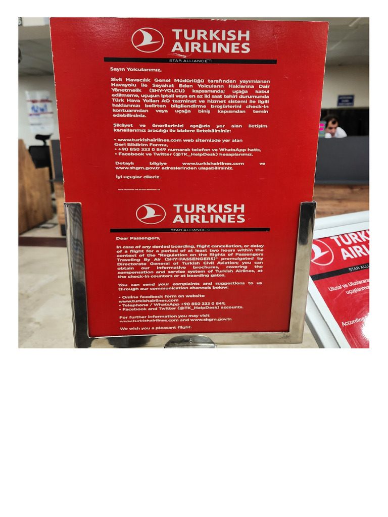 Bilingual Text Analysis and Translation Practic | PDF