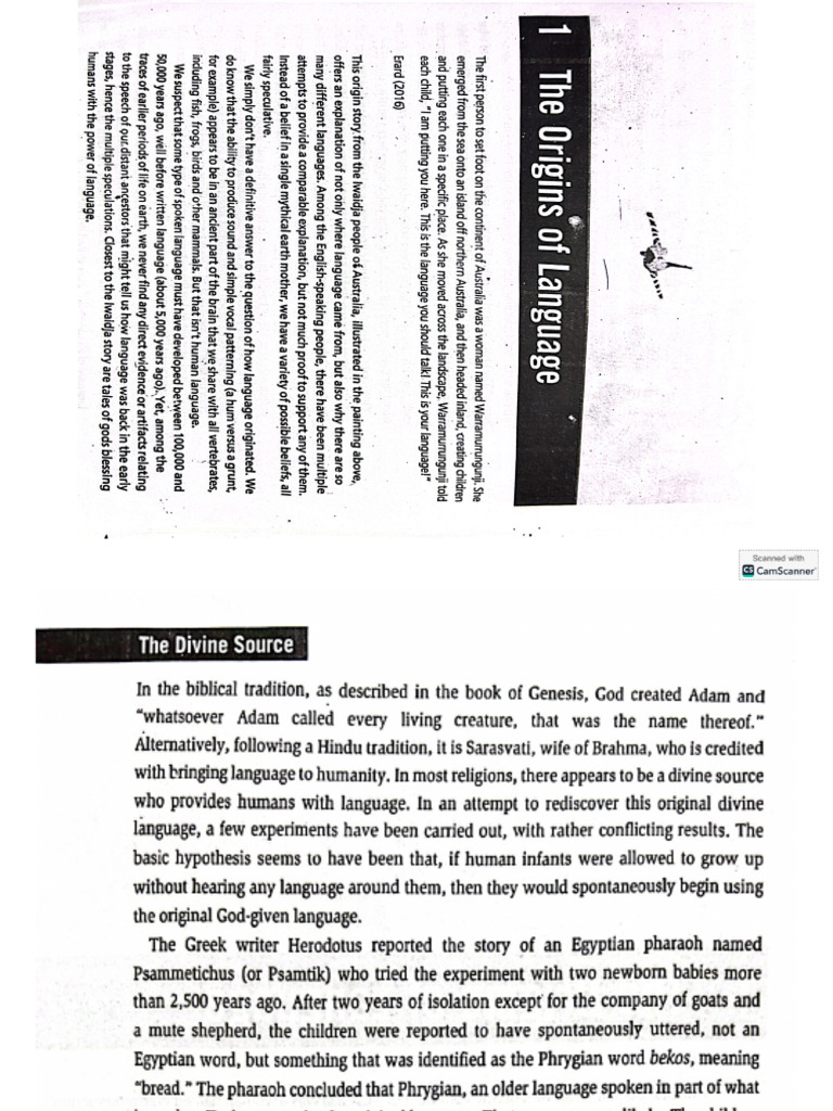 Origin of Language | PDF