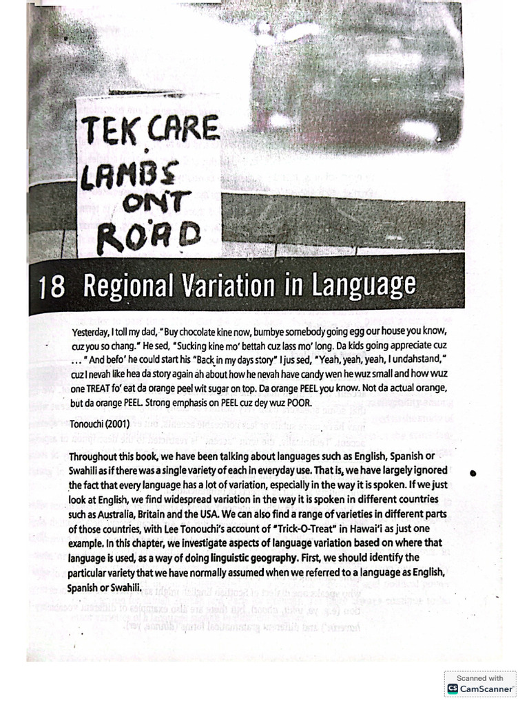 Variation in Language | PDF