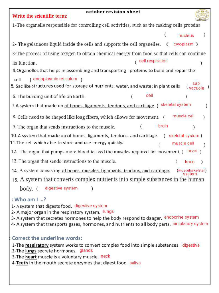 Sheeeet - Copy - 11zon | PDF