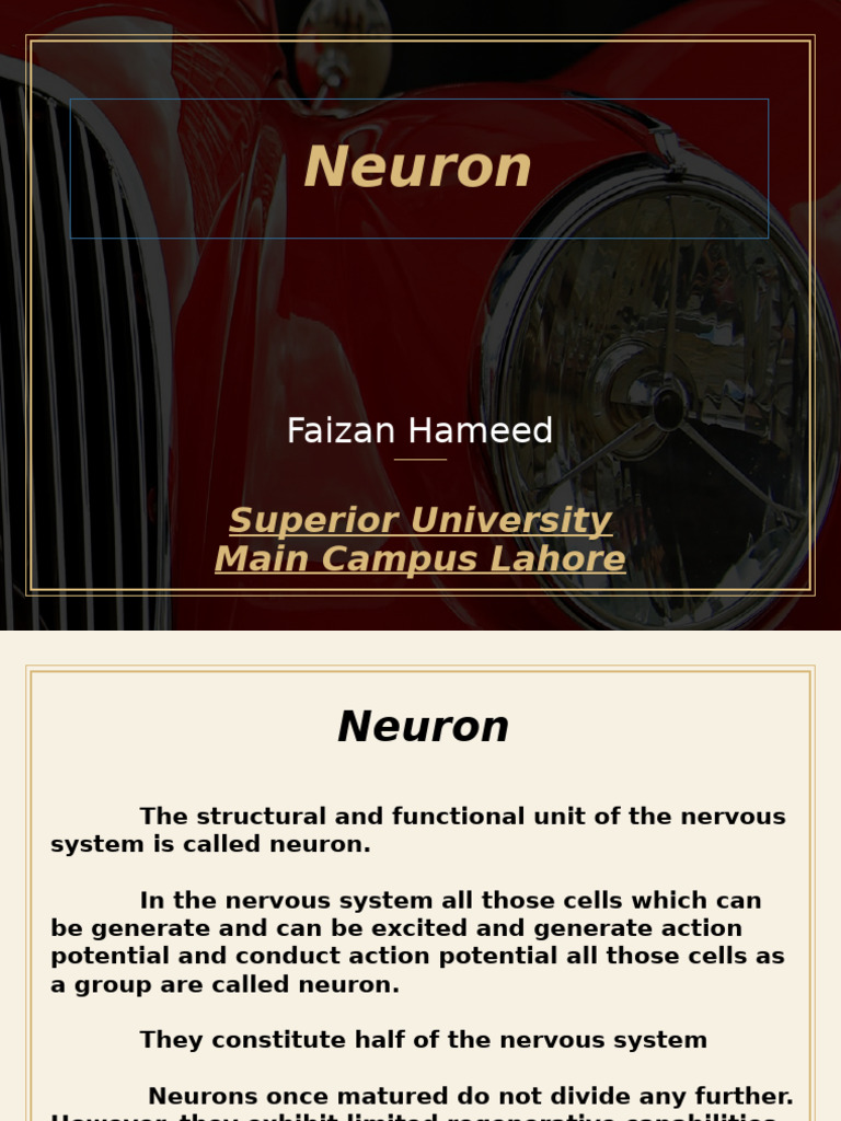 6-Neuron[2] - | PDF | Synapse | Chemical Synapse