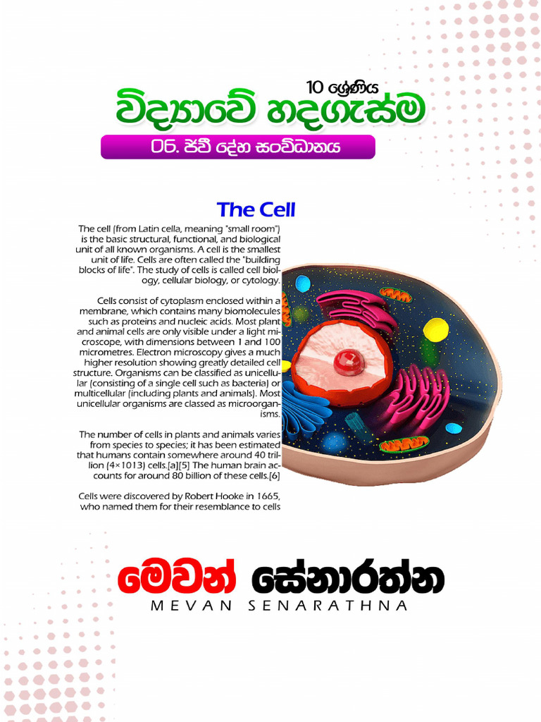 Grade 10 - 6th and 8th - Lesson - 2024 | PDF