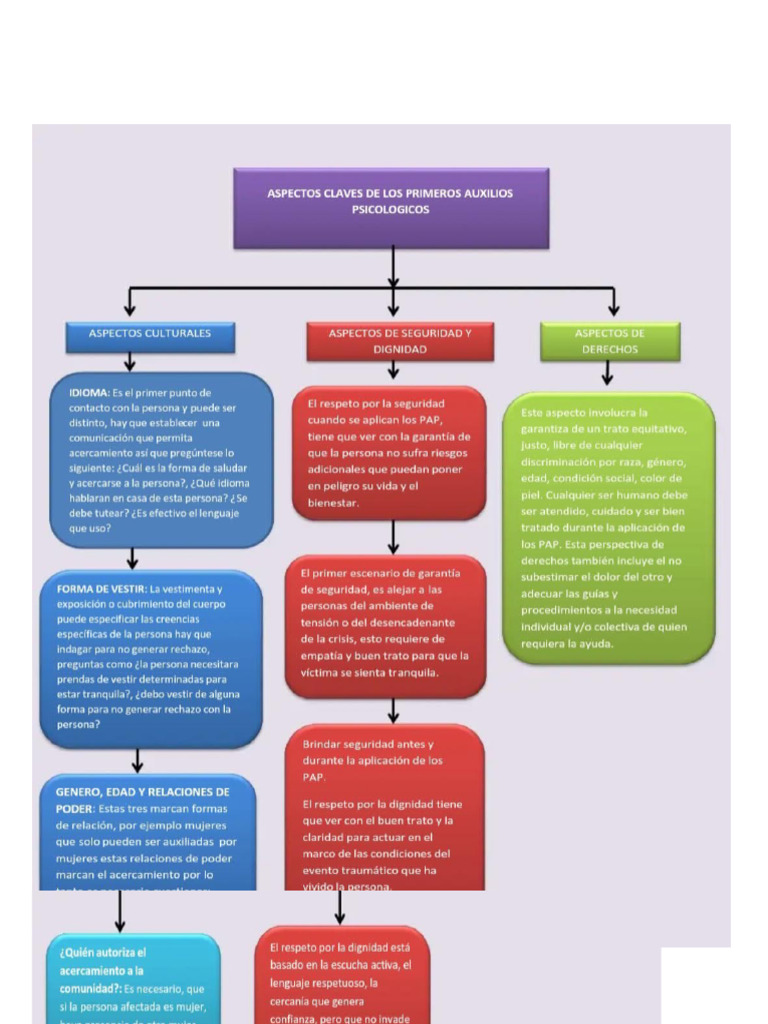 Cuadro Sinóptico Sobre Aspectos Claves Del PAP. AA2-EV01 | PDF