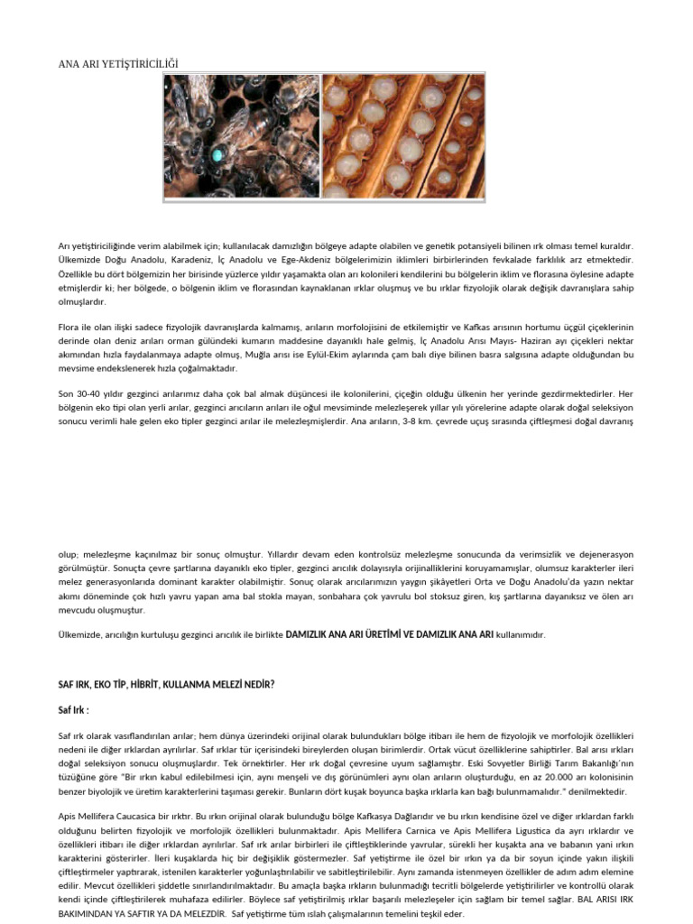 Ana Ari Yeti̇şti̇ri̇ci̇li̇ği̇ | PDF