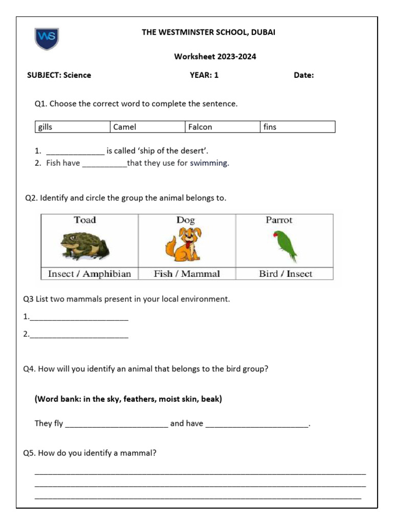 Animals Worksheet 2 3 | PDF