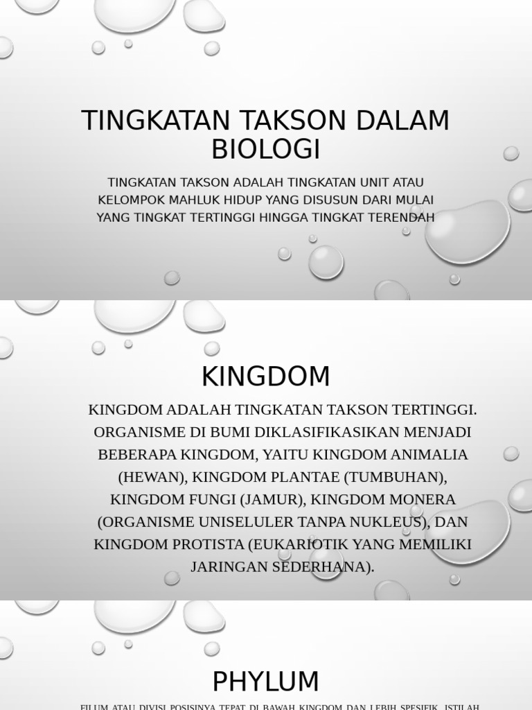 Tingkatan Takson dalam Biologi | PDF