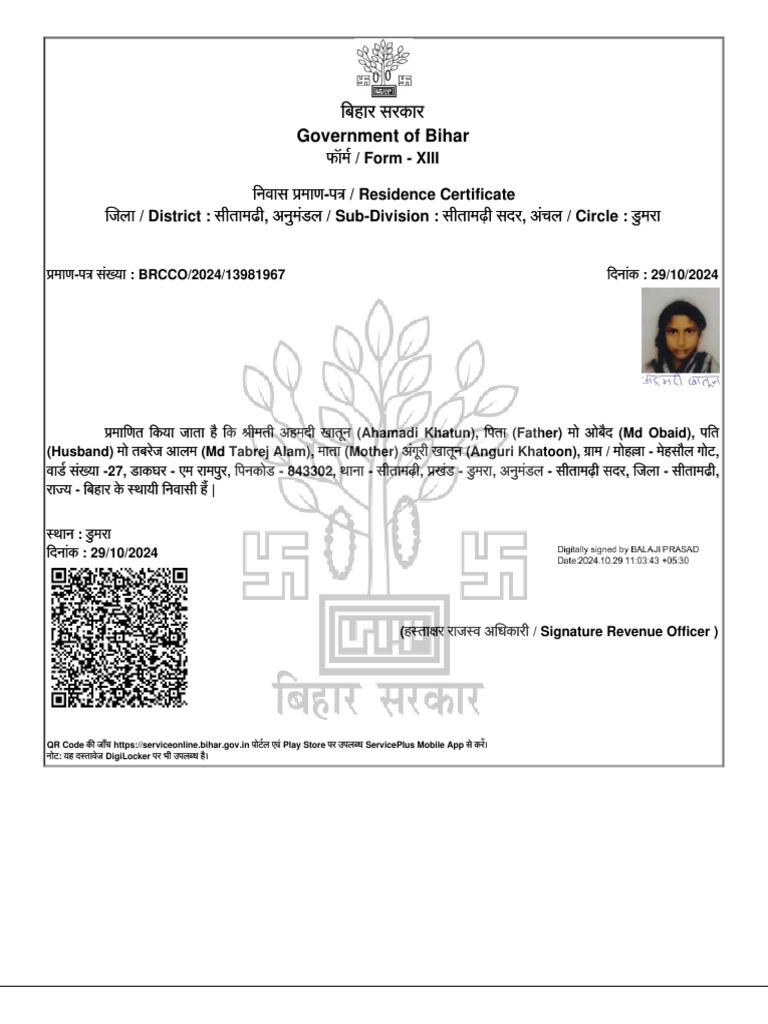 Brcco 2024 13981967 | PDF