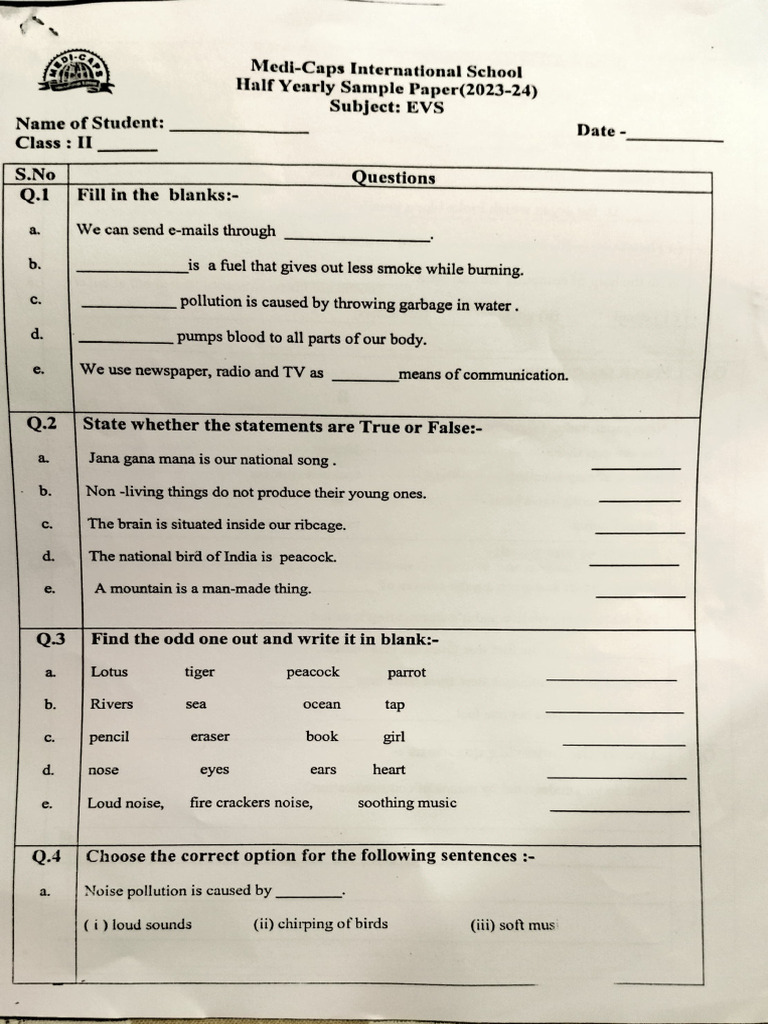 EVS sample paper | PDF