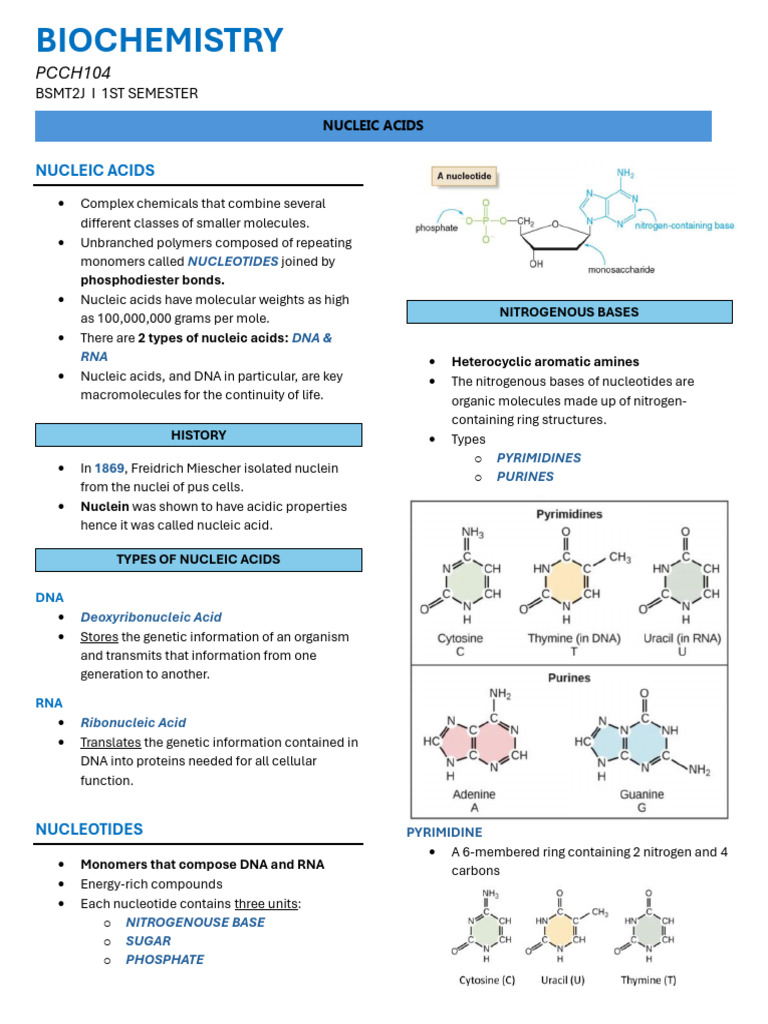 NUCLEIC ACIDS Biochem Lec | PDF | Dna | Nucleic Acids