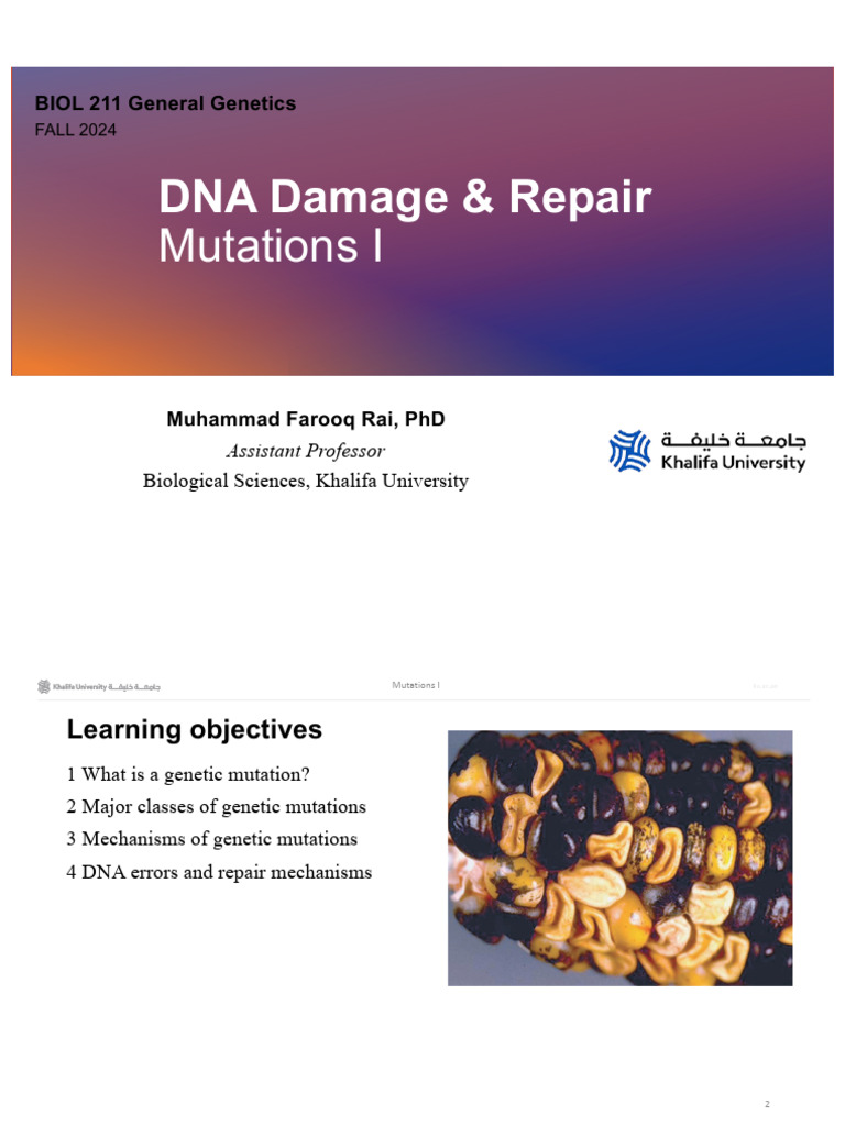 W6L1 Biol 211 | PDF | Mutation | Dominance (Genetics)