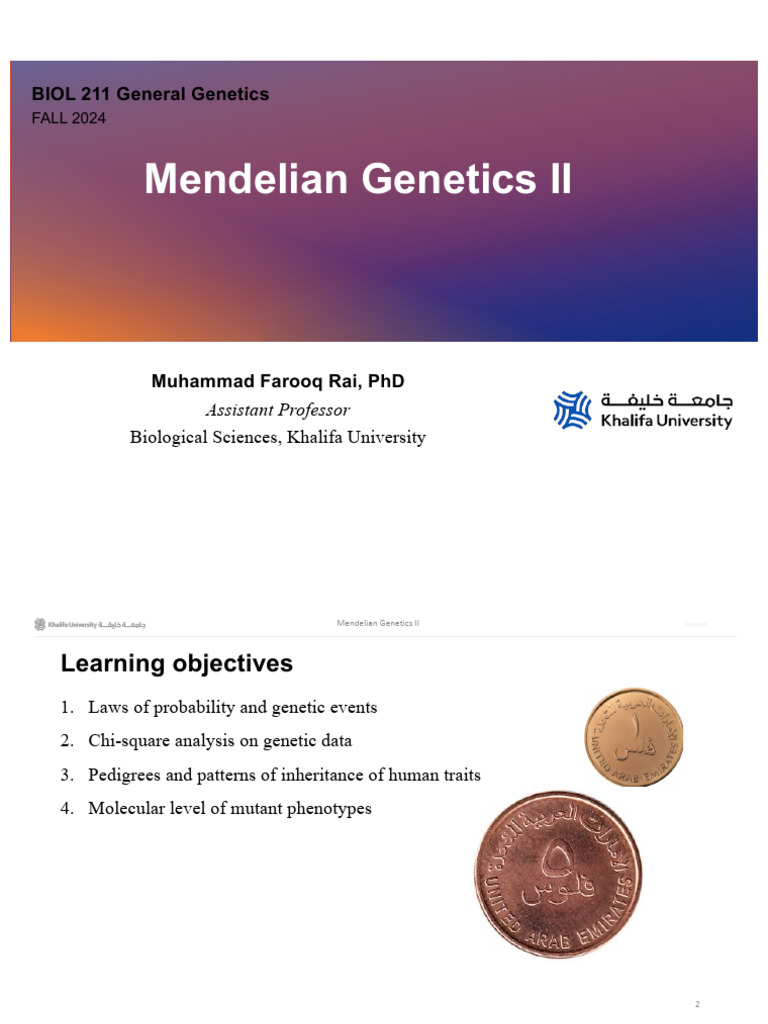 W7l2 Biol 211 1 Pdf Dominance Genetics Genetics