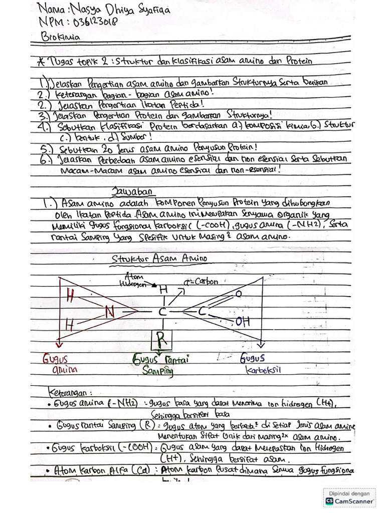Nasya DS - Tugas Topik 2 Asam Amino | PDF
