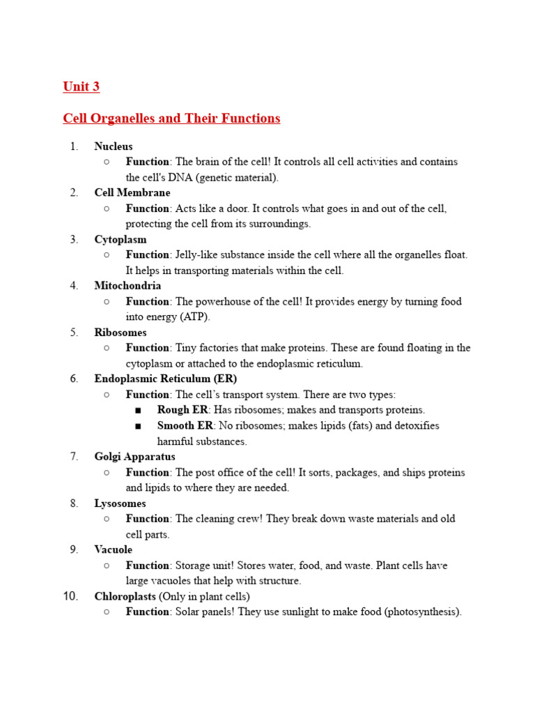 Cell Organelles and Their Functions | PDF