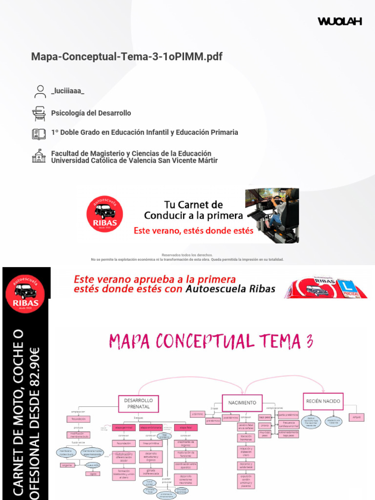 Wuolah Free Mapa Conceptual Tema 3 1oPIMM | PDF