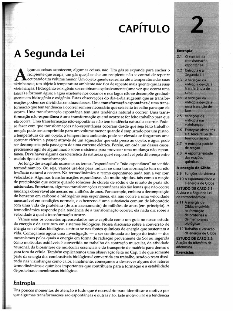 2° Lei | PDF
