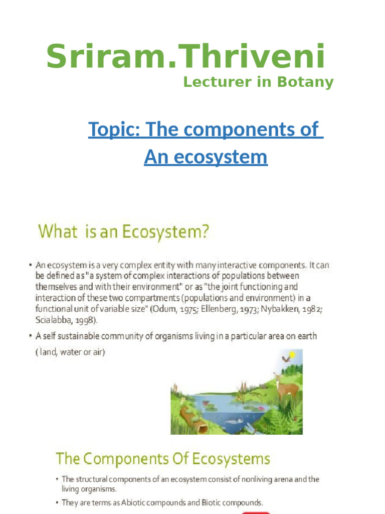 Components of An Ecosystem | PDF | Science & Mathematics