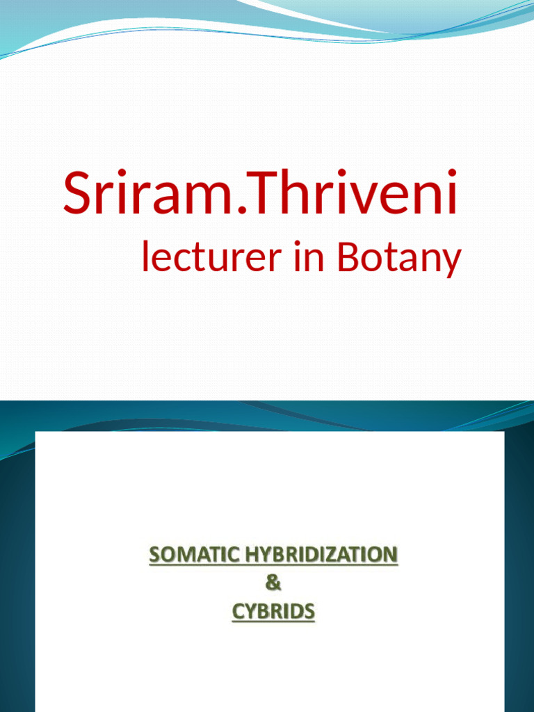 Somatic Hybrids & Cybrids | PDF