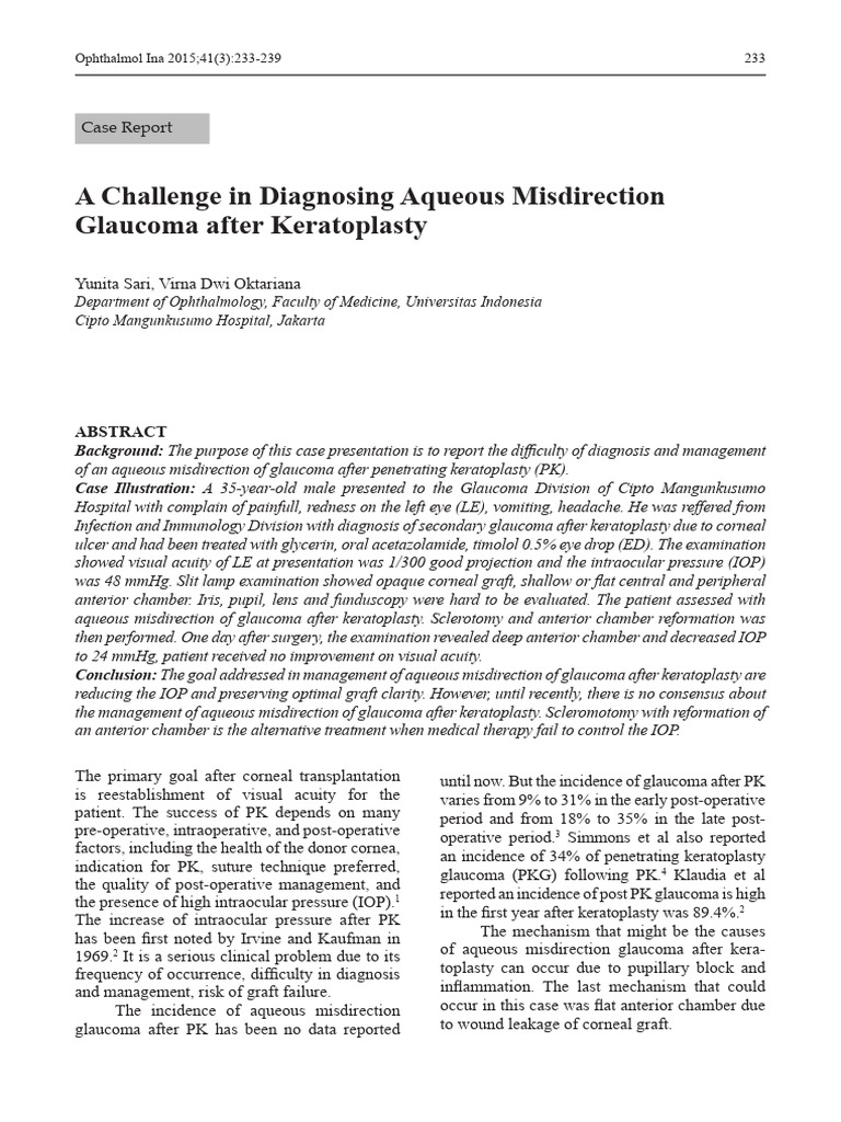 A Challenge in Diagnosing Aqueous Misdirection Glaucoma After ...